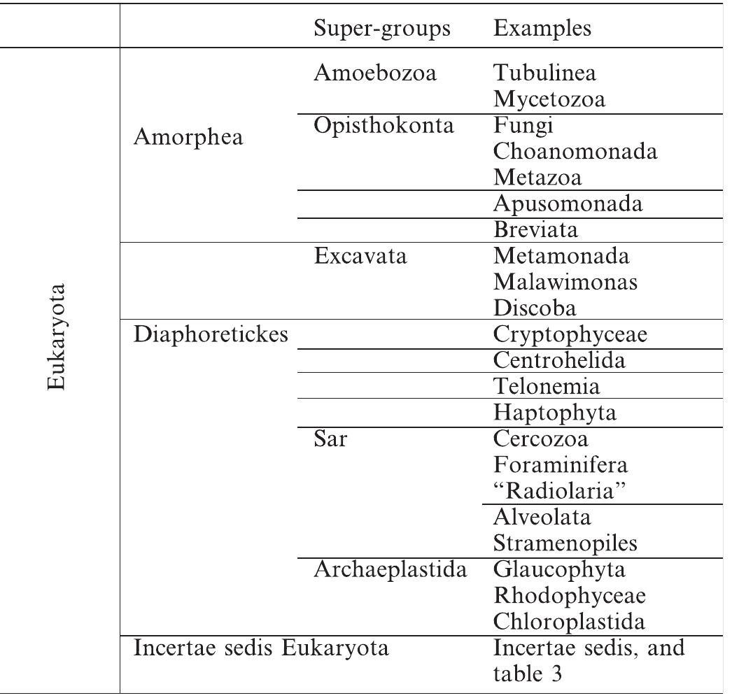 The classification of eukaryotes at the highest ranks.
