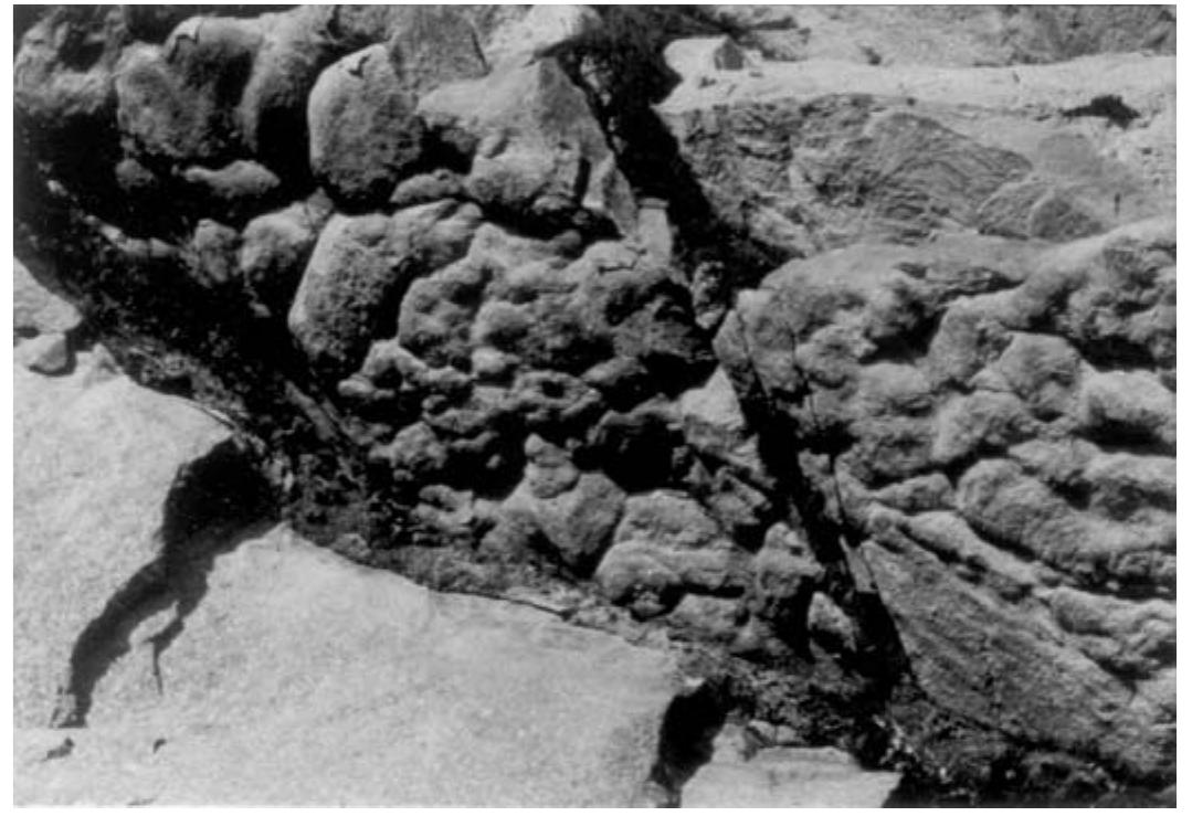 54 load structures on underside of sandstone bed. field of