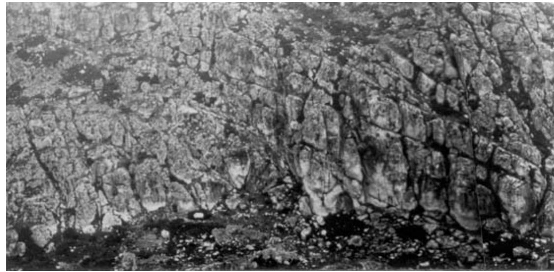 83 massive reef limestone (left) with offlapping reef-debris