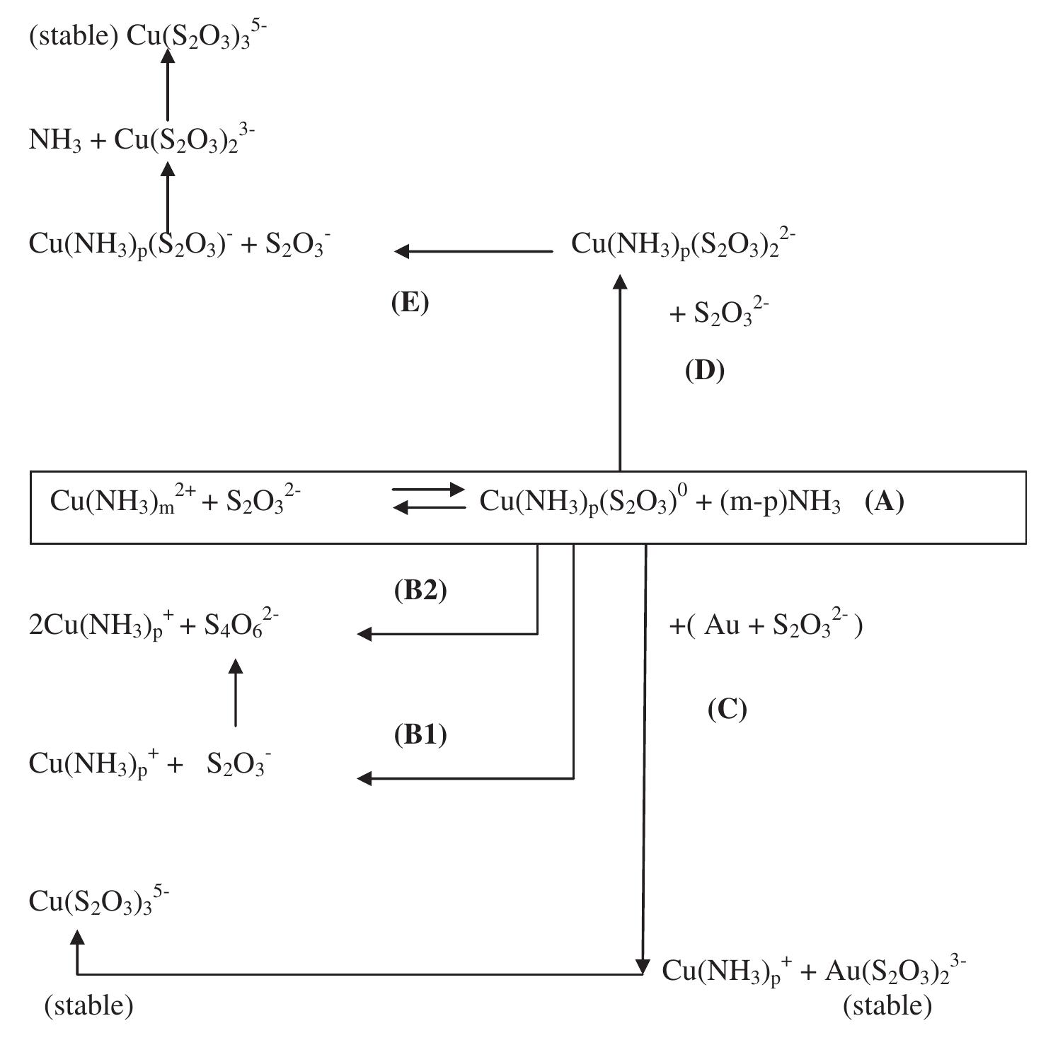 Proposed reaction model for the oxidation of thiosulphate