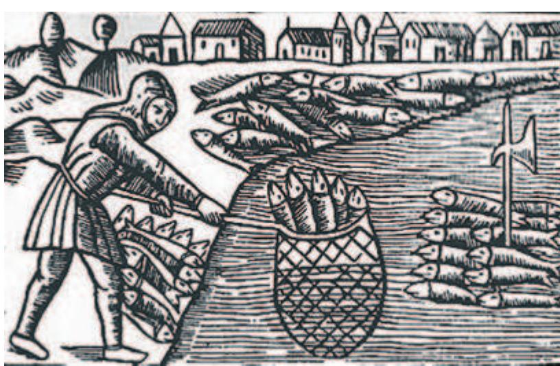 (PDF) Medieval fishing on the Isle of Dogs