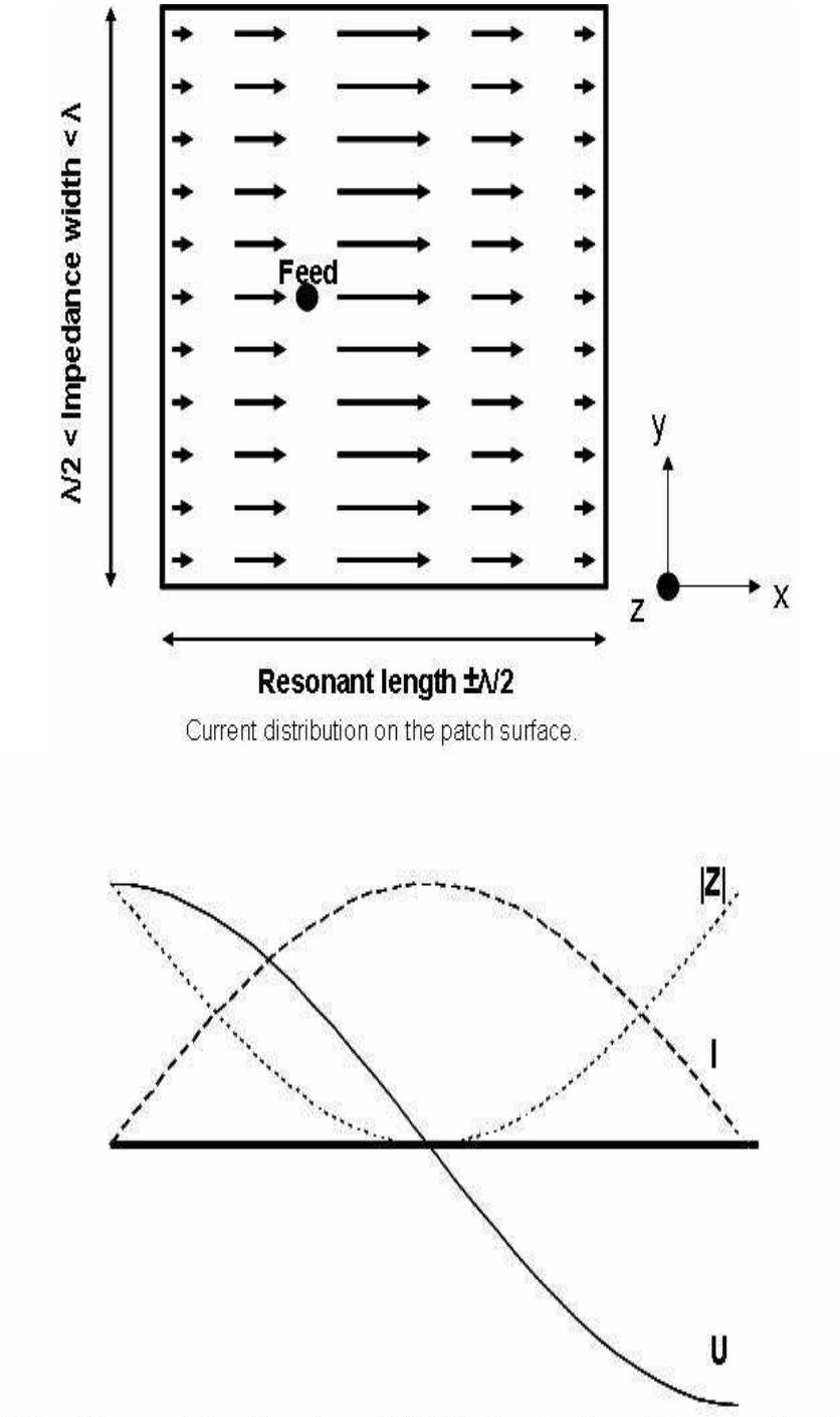 Voltage (u}, current {i} and impedance (|z|} distribution