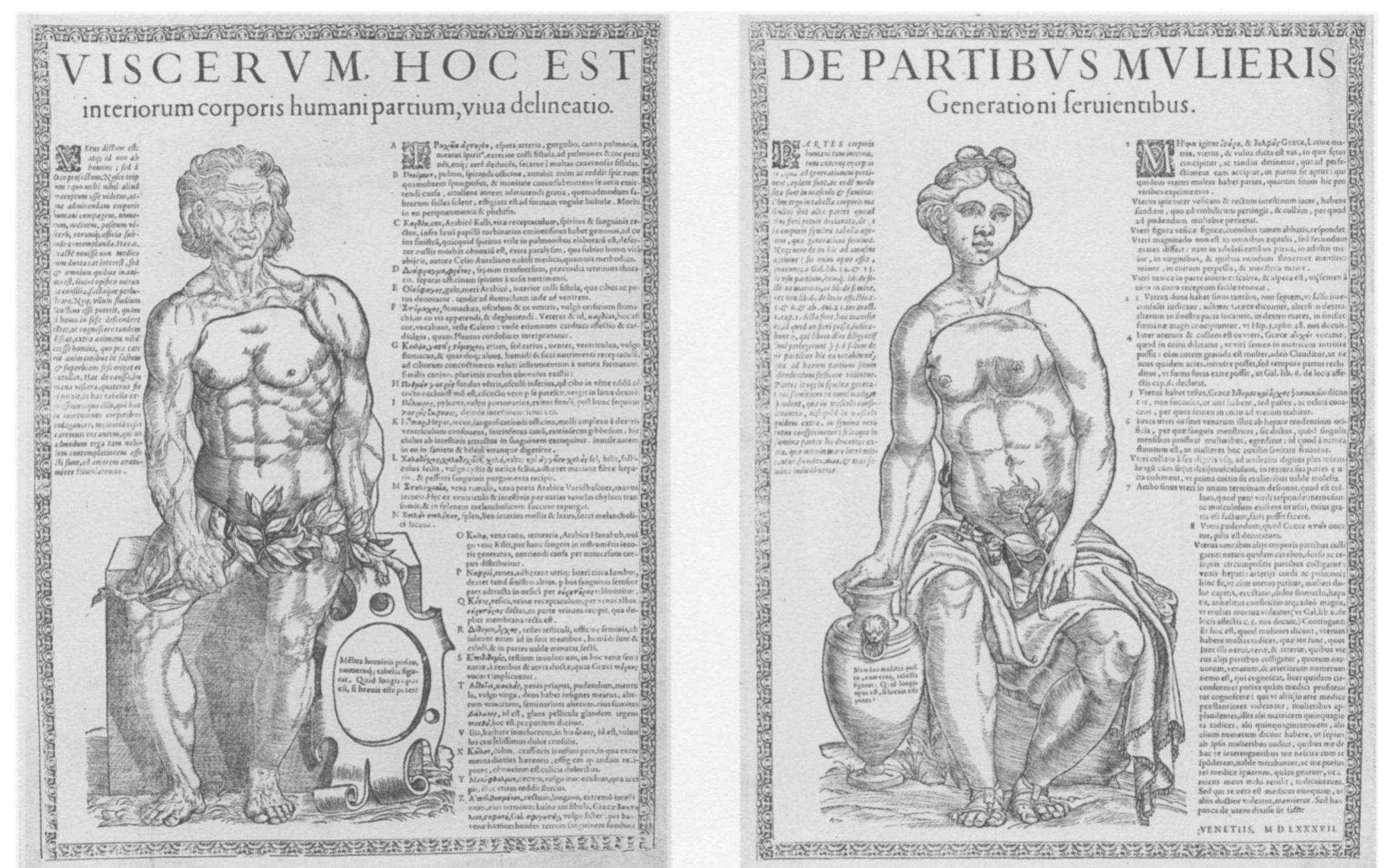 S 7-8. anatomical fugitive sheets (man and woman), 1587.