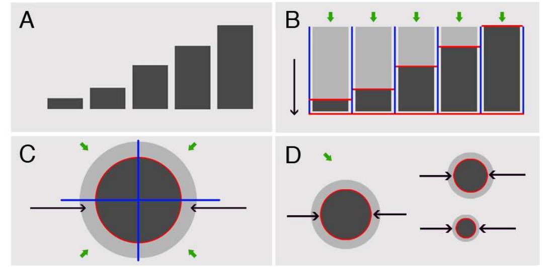 Template schemas: blue lines represent the walls; red lines