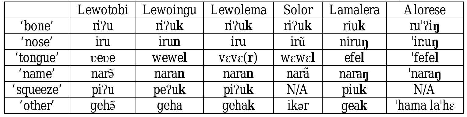 Word-final consonants across lamaholot dialects (in ipa) 10