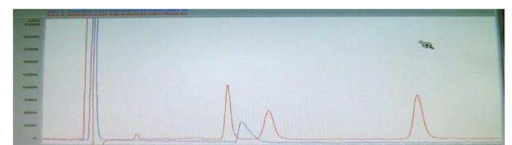 Hplc Chromatograms Obtained After Test For Interference With