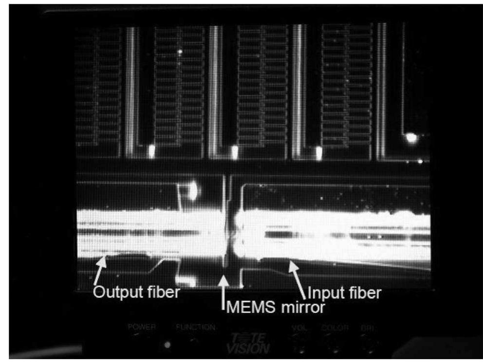Microscope image of the mems tf with integrated optical