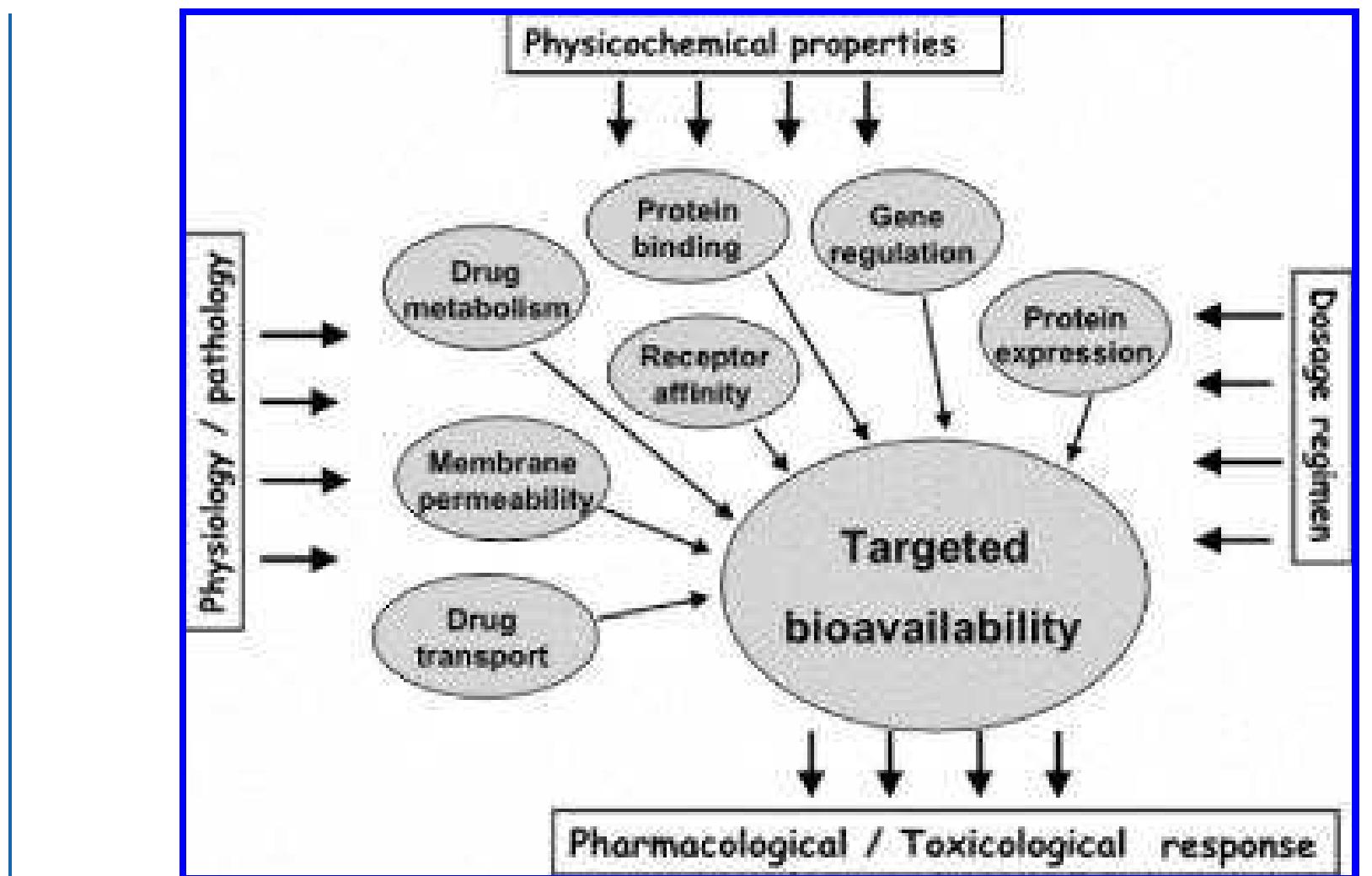 3: schematic representation of factors that influence the