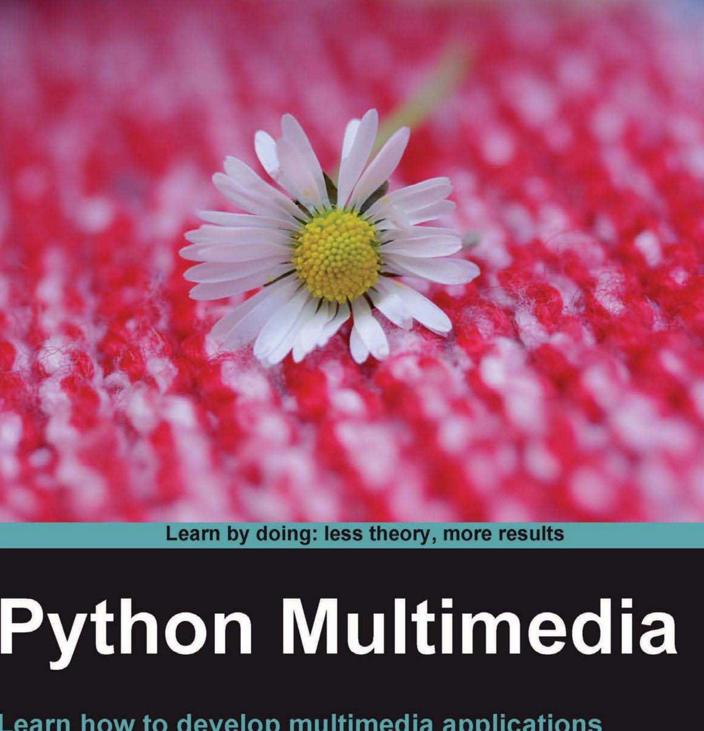 Figure 1 - Python Multimedia - Beginner's Guide (2010)