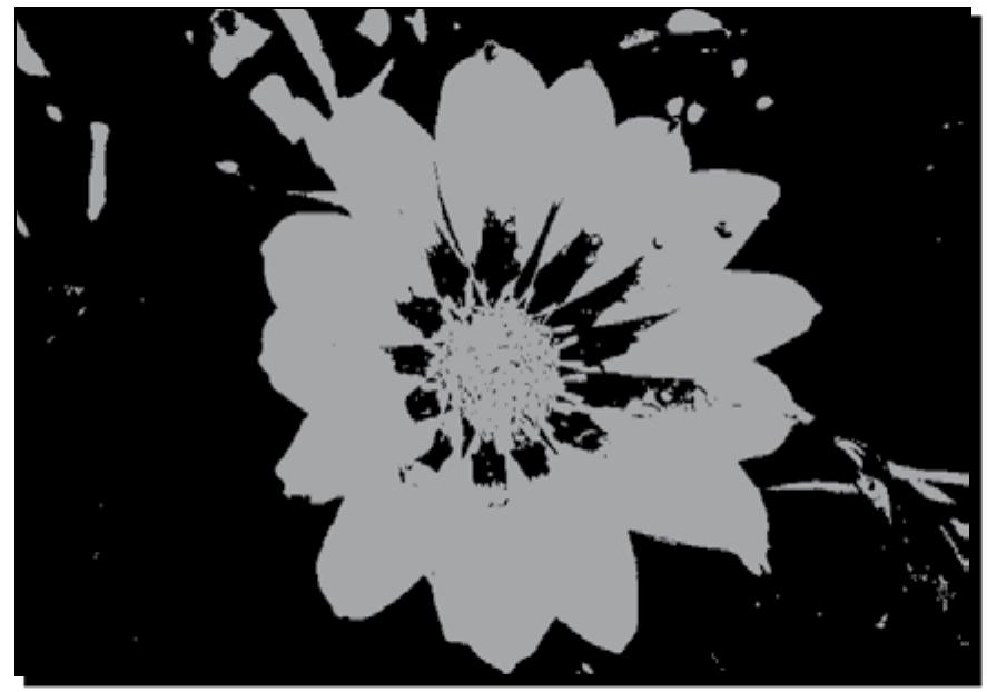 Figure 23 - Python Multimedia - Beginner's Guide (2010)