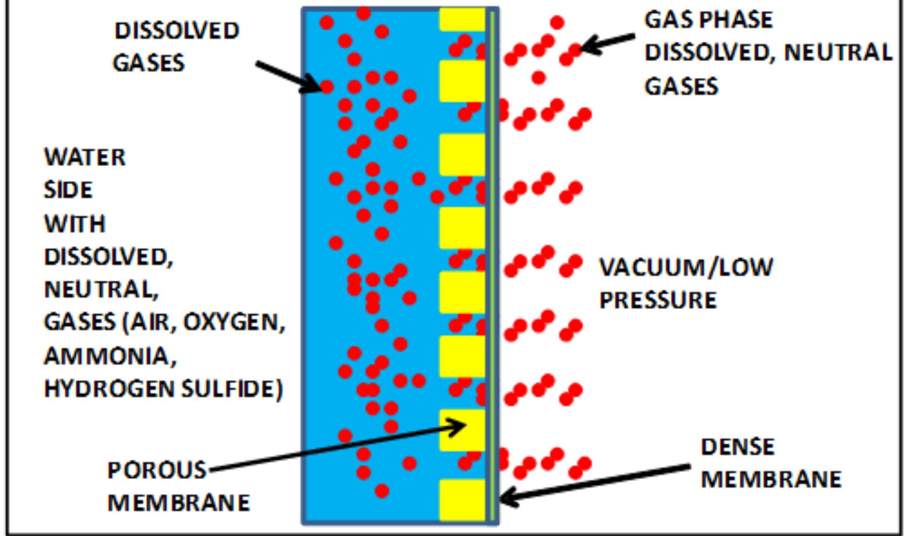 (PDF) AMMONIA REMOVAL FROM WASTEWATER