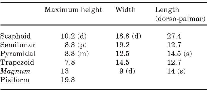 D: dorsal view; p: palmar view; m: medial view; s: distal