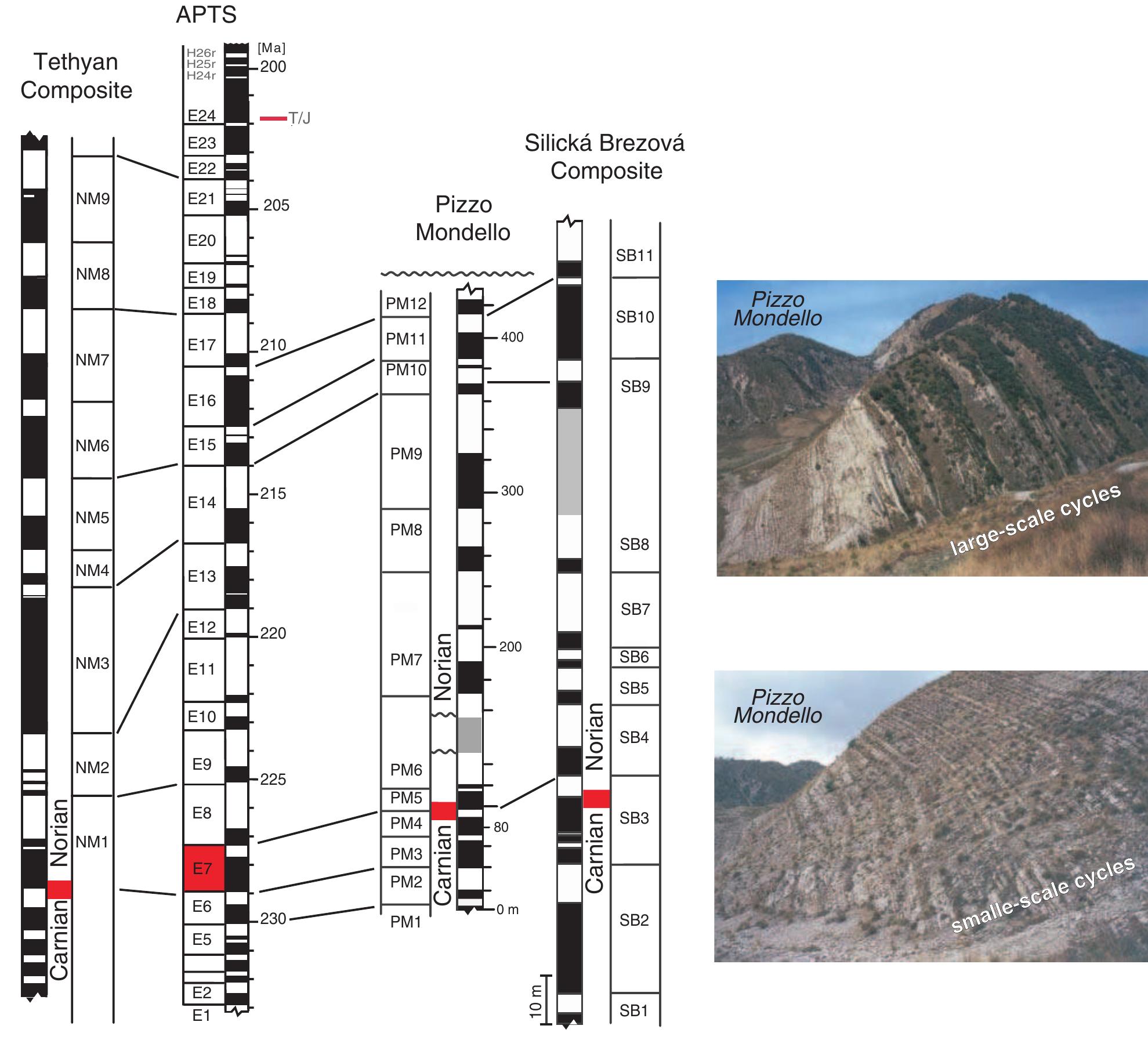 Magnetostratigraphic correlation of the marine european