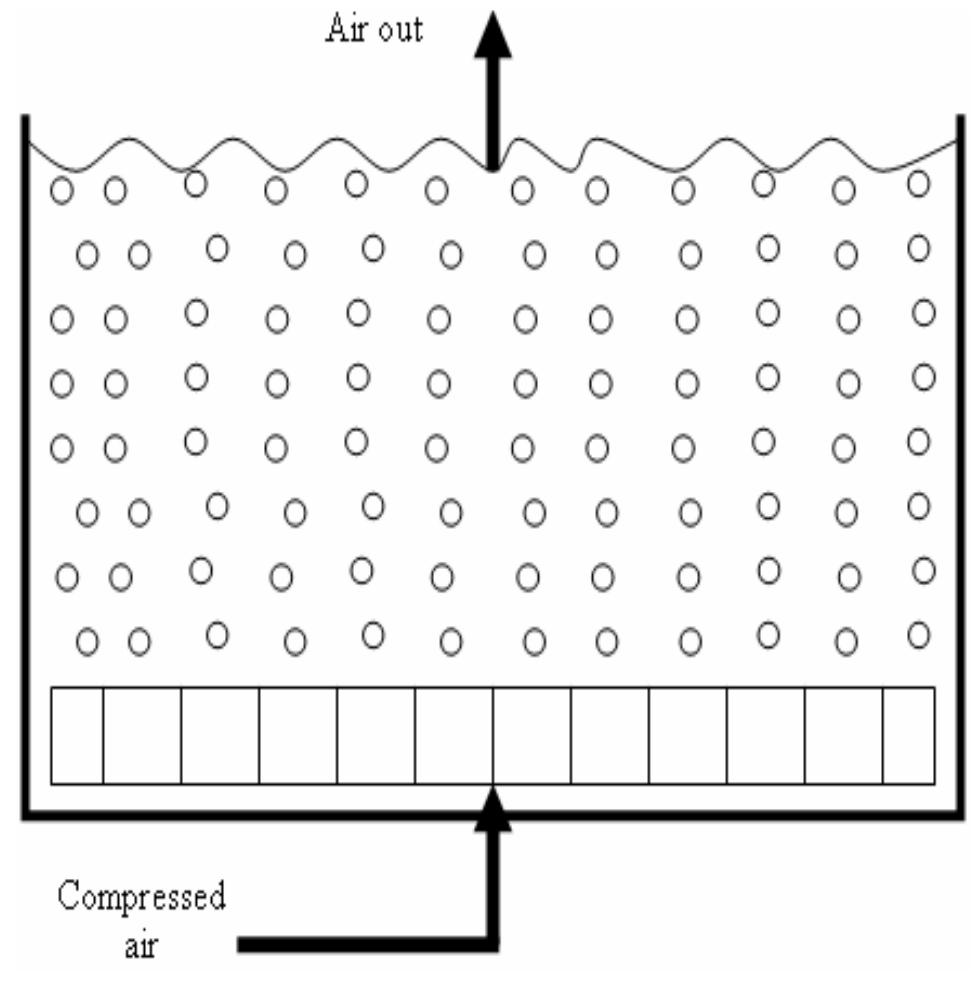 Schematic of diffused air aeration system diffuser system