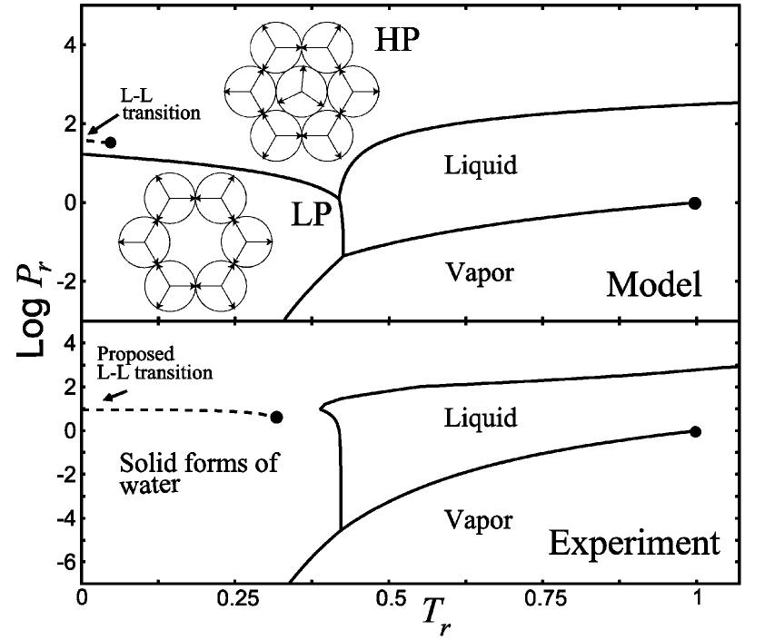 Phase diagrams of water: model (top) and experiments