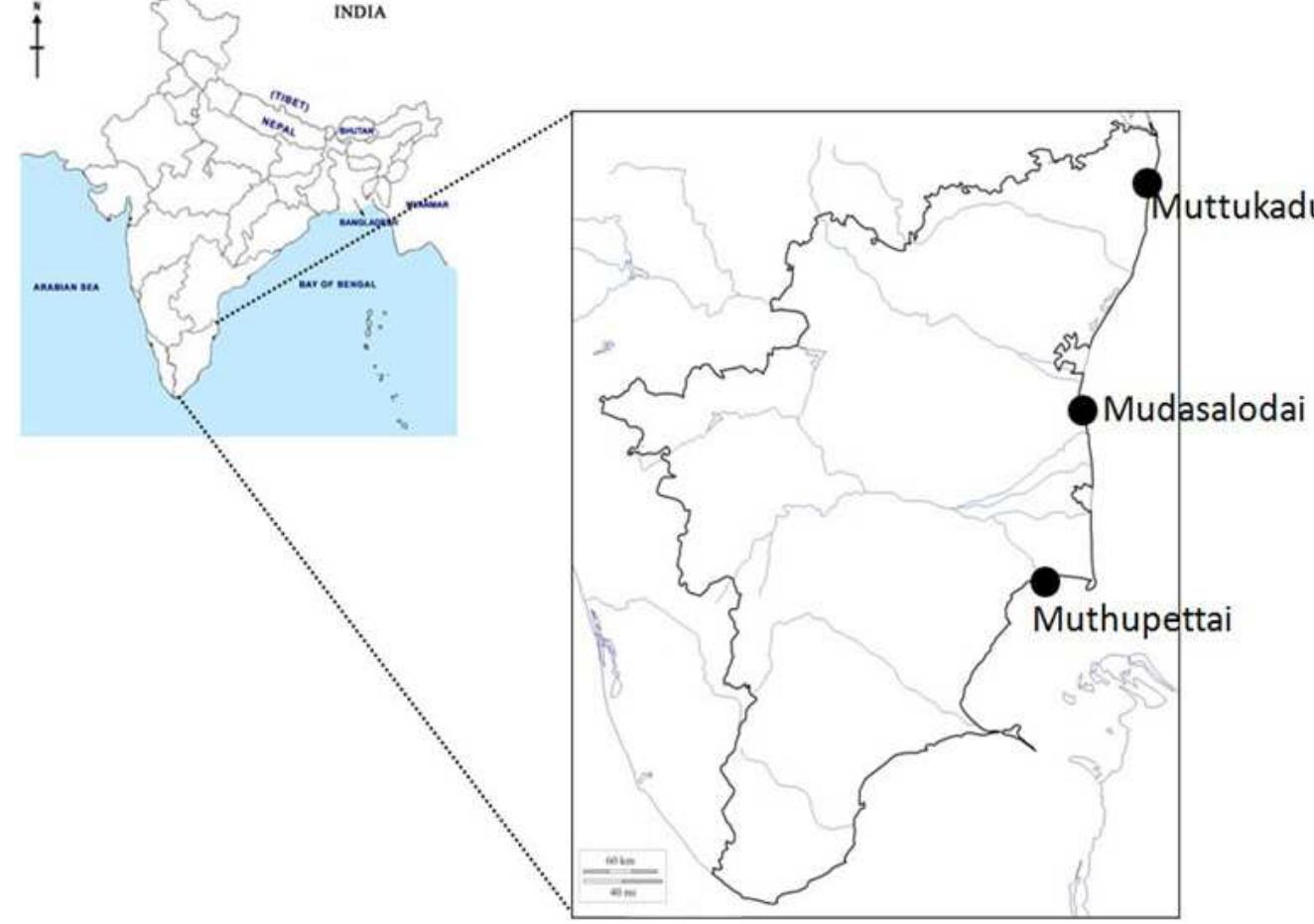 Map of sample collection sites in tamil nadu state ten