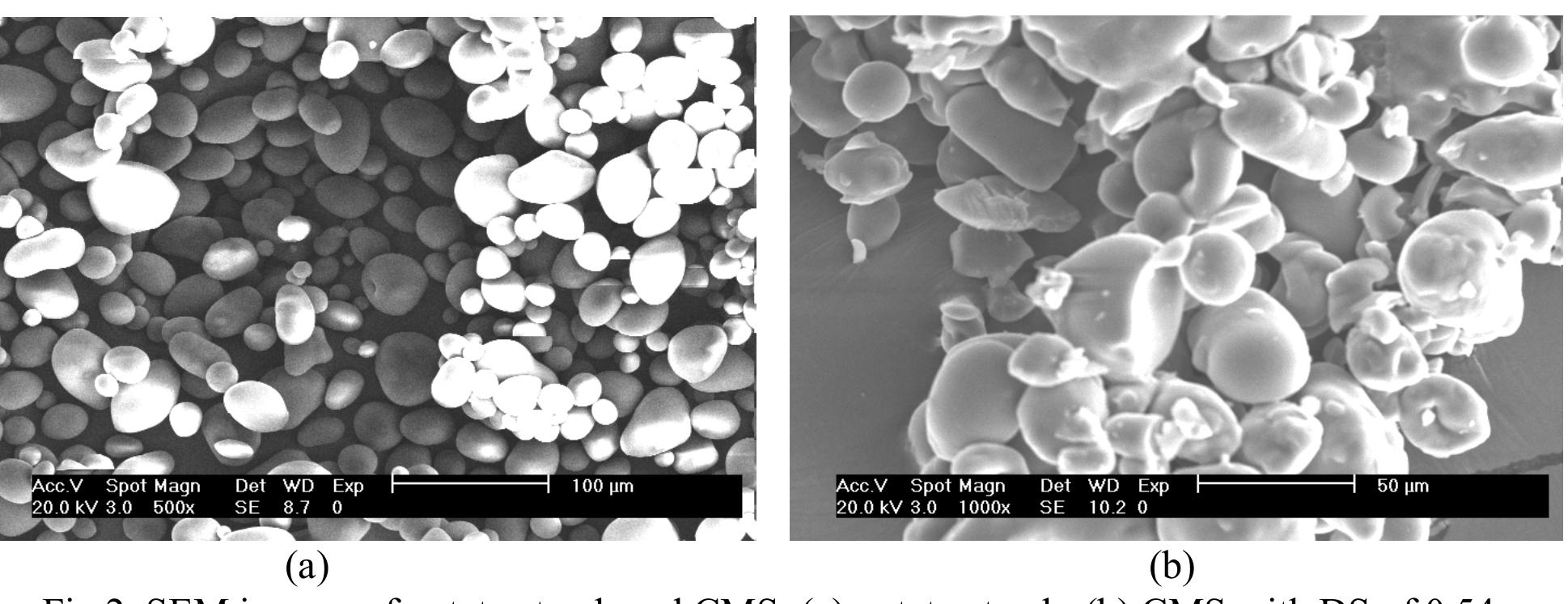 Sem. the sem images of potato starch and cms are represented