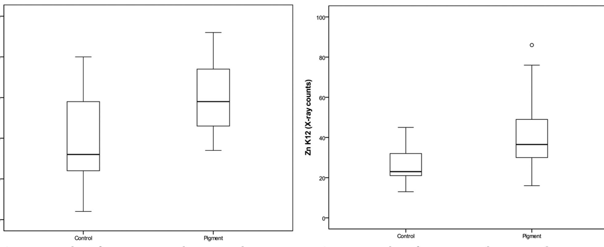 Figure 5 - Analyzing Red Pictographs With Portable X–ray