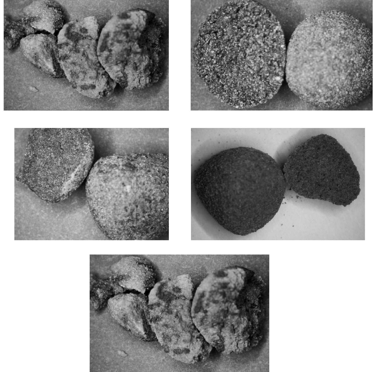 Photomicrographs At 6 3x Magnification Of Experimental