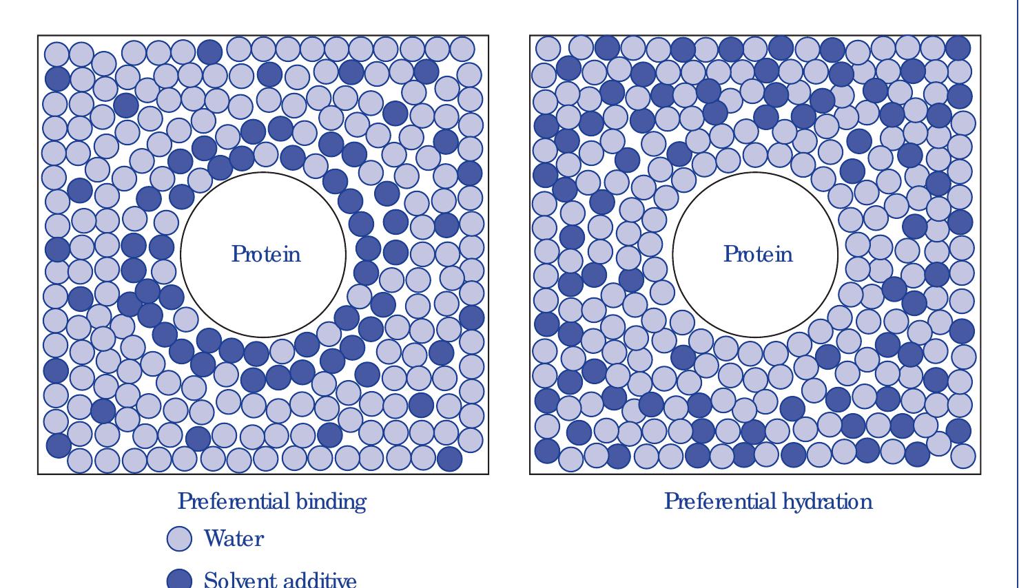 5 diagram showing preferential binding and preferential