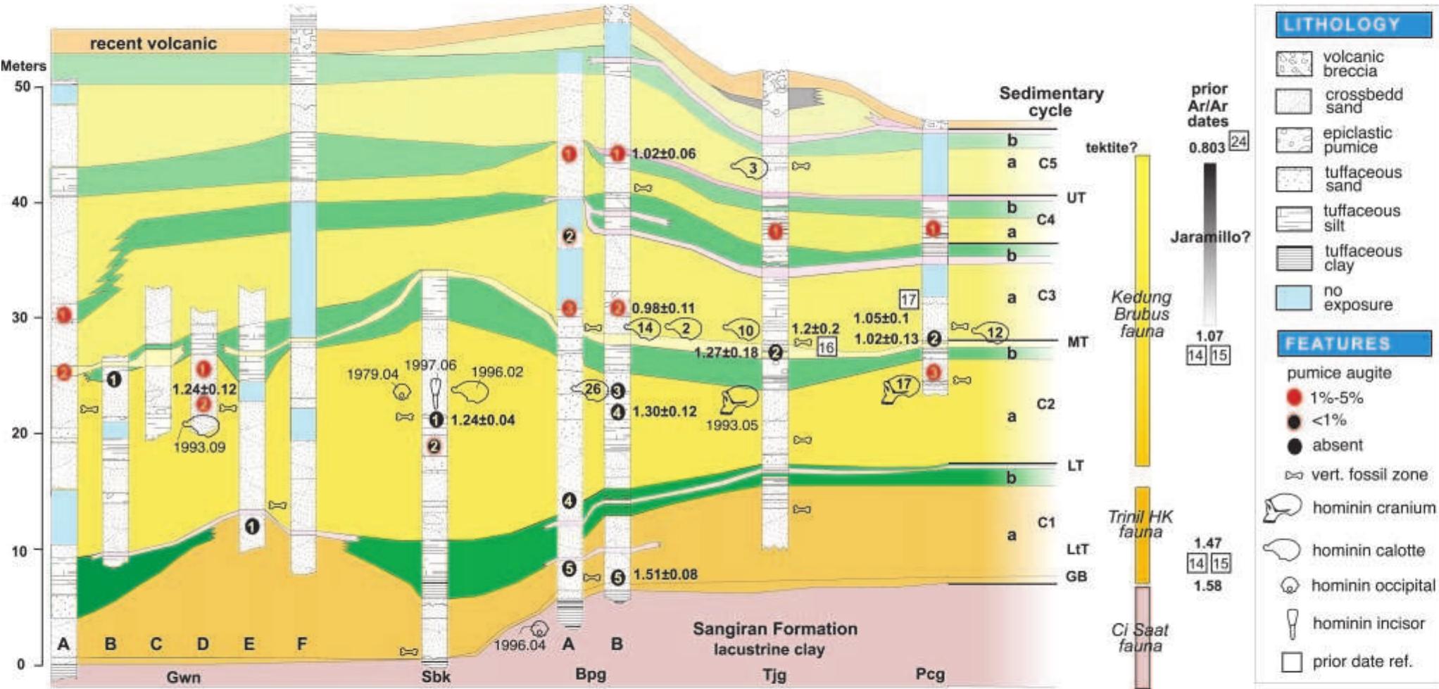 Bapang formation tephrostratigraphy. sedimentary cycles:
