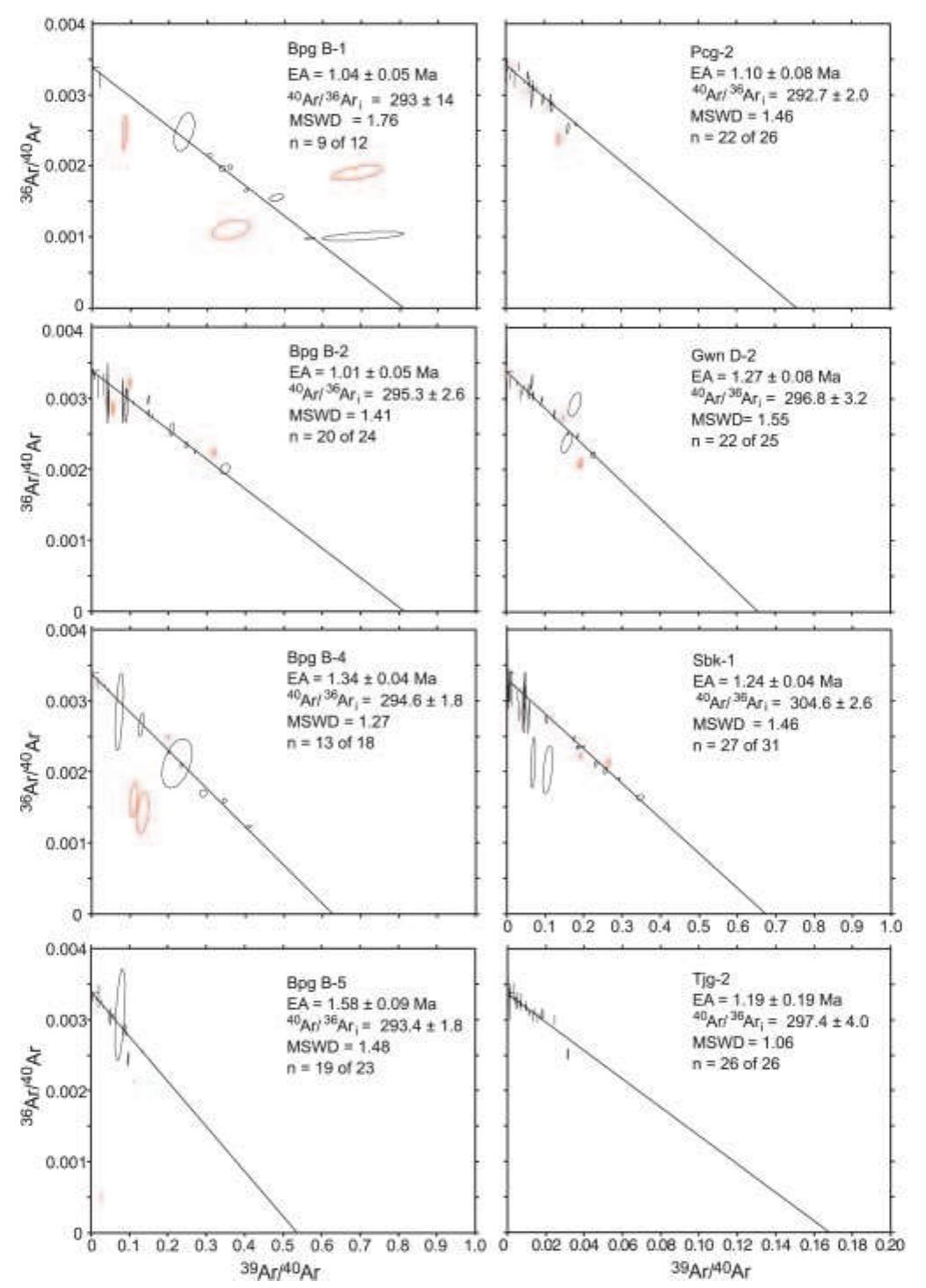 Isotope correlation diagrams for hornblende isotopic
