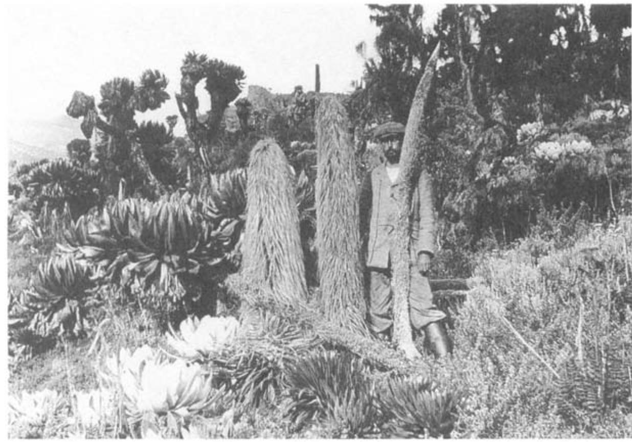 (PDF) Critical Geopolitics - Geároid Ó Tuathail