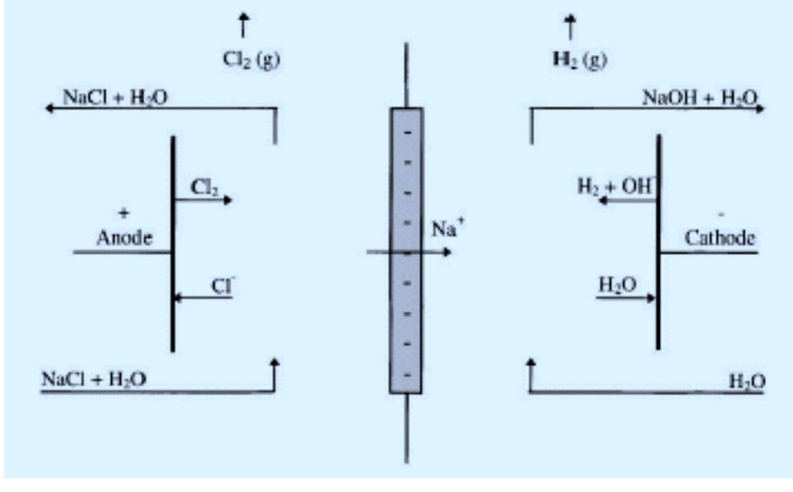 The main product of the chlor-alkali electrolysis process,