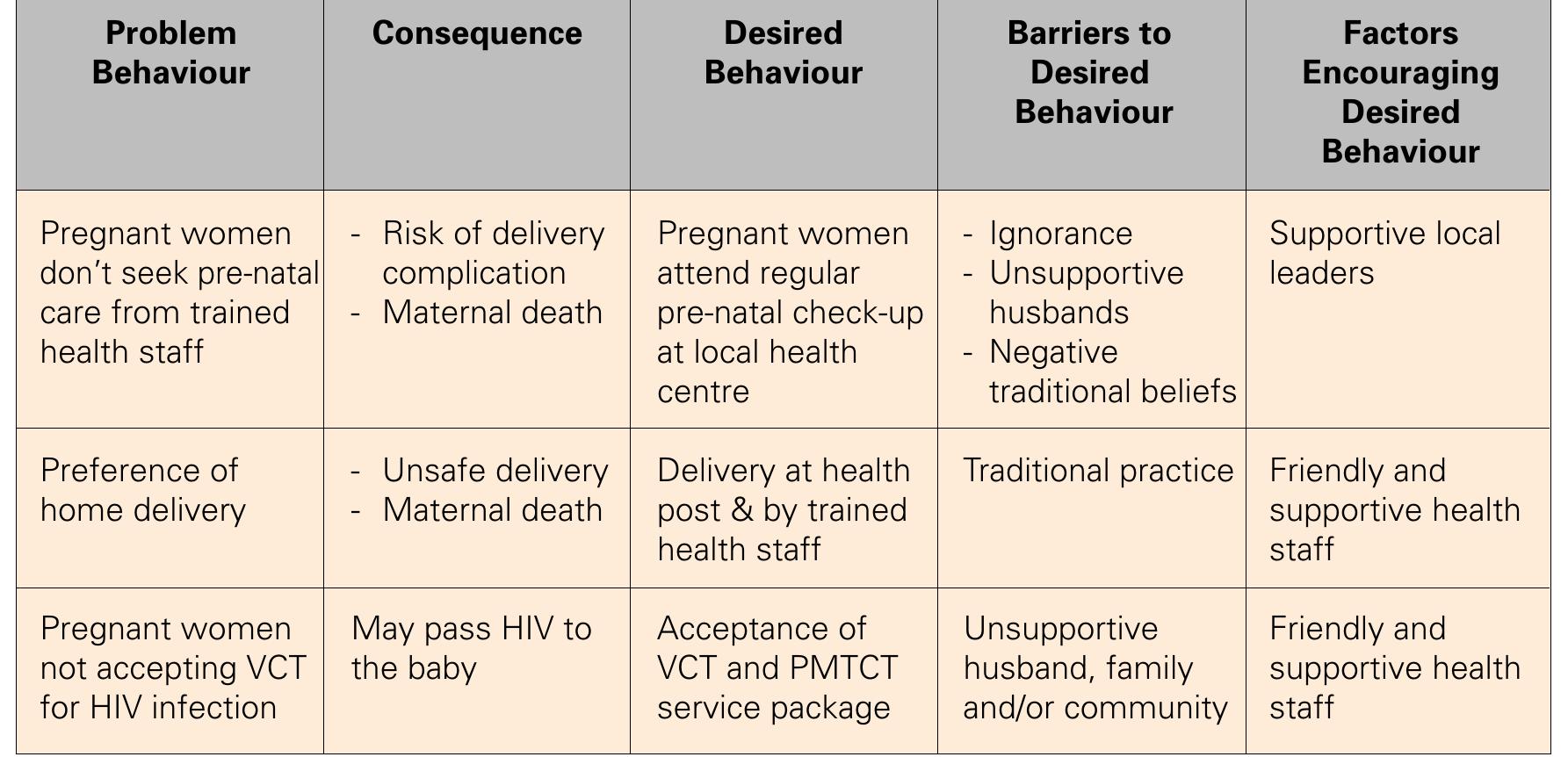 Example of a behaviour analysis matrix (bam)