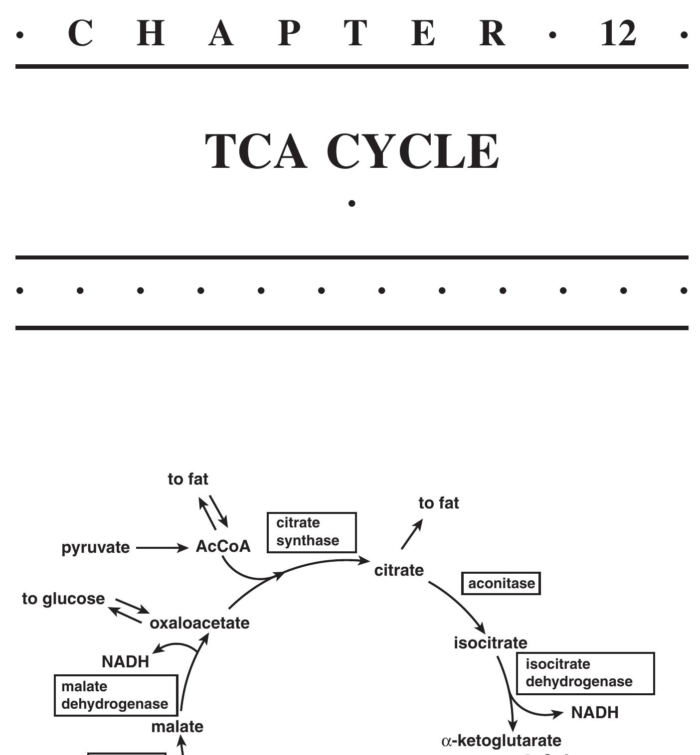 Figure 68 - Basic Concepts of Biochemistry