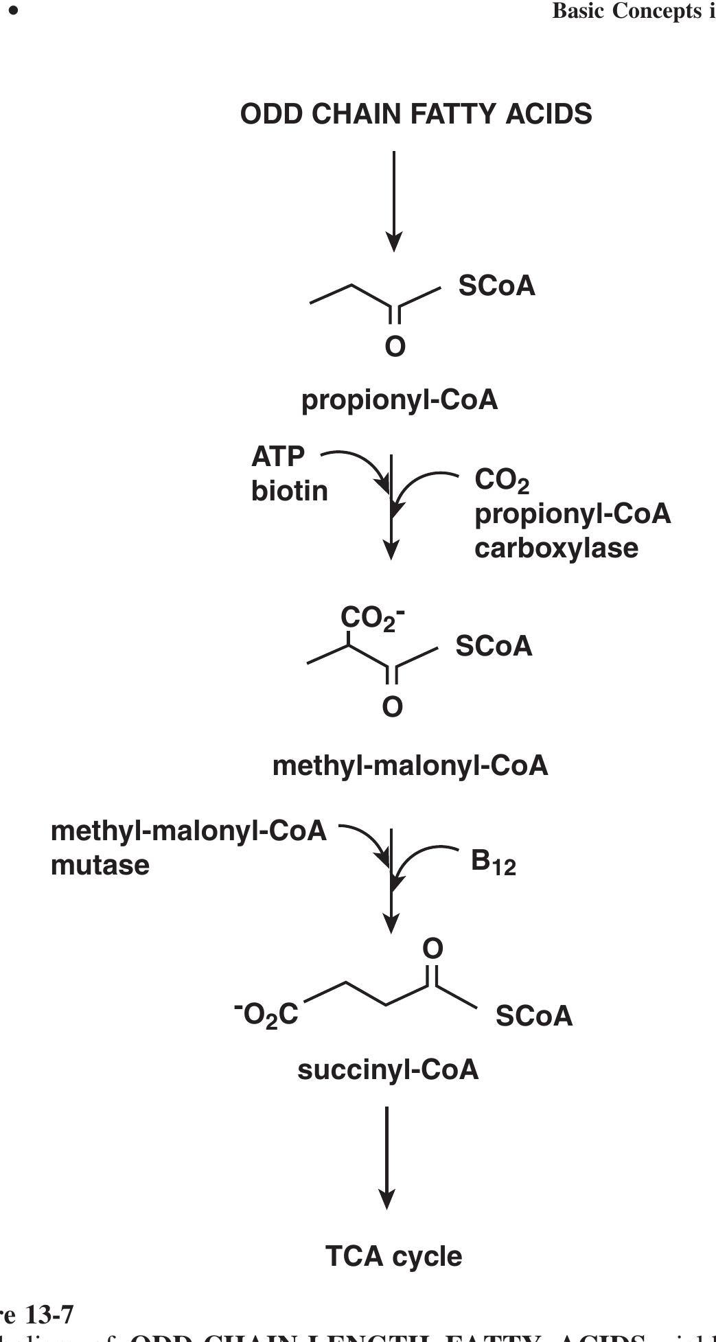 Figure 75 - Basic Concepts of Biochemistry