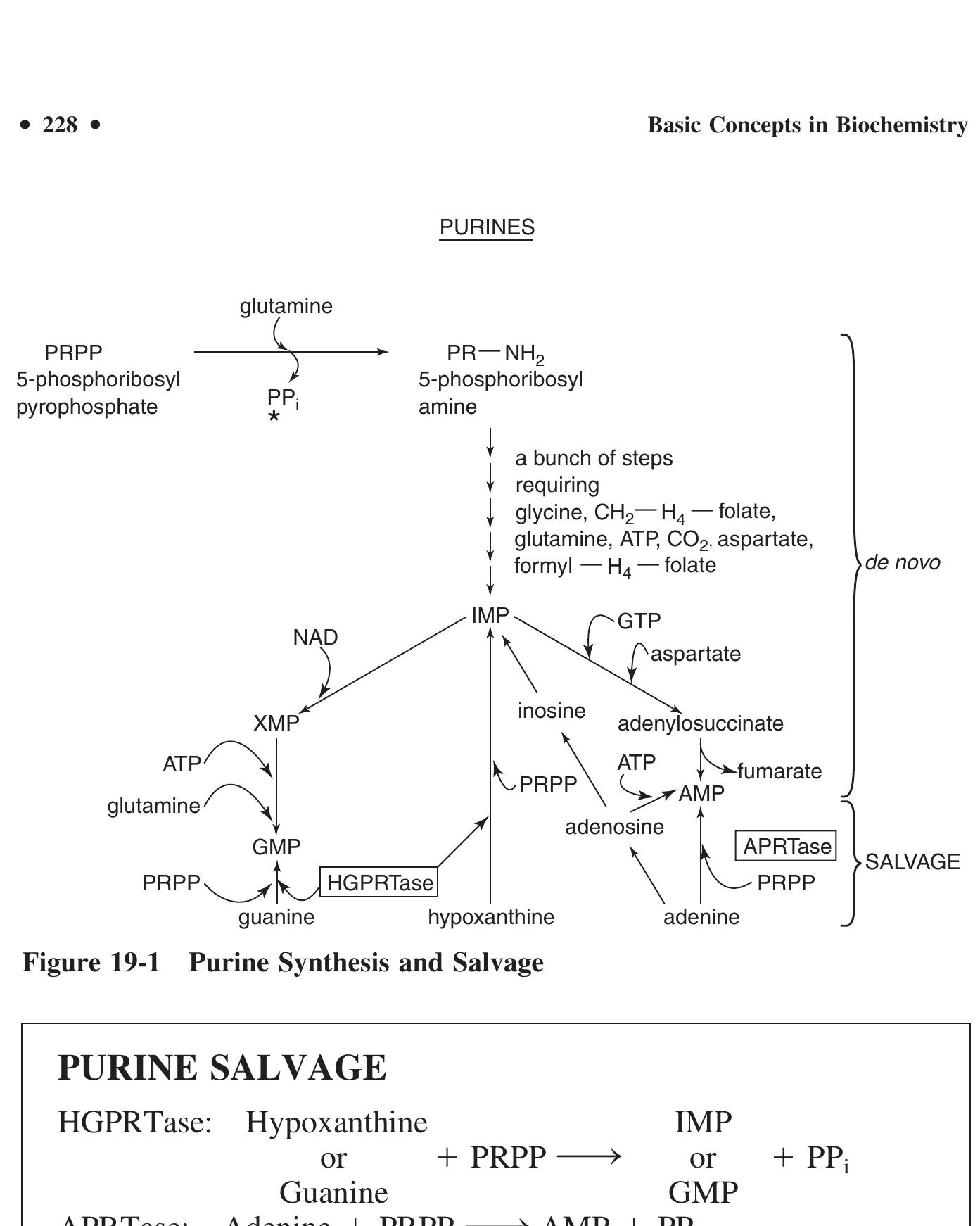 Figure 95 - Basic Concepts of Biochemistry