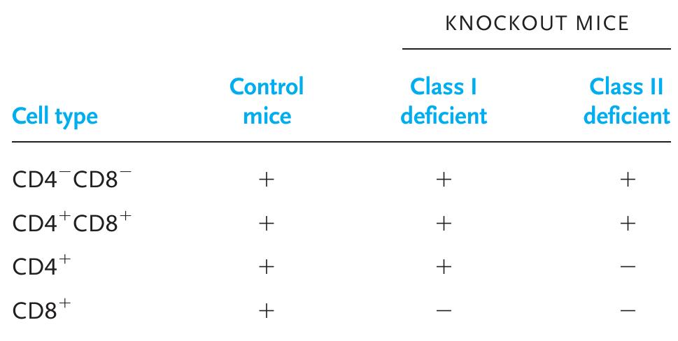 “plus sign indicates normal distribution of indicated cell