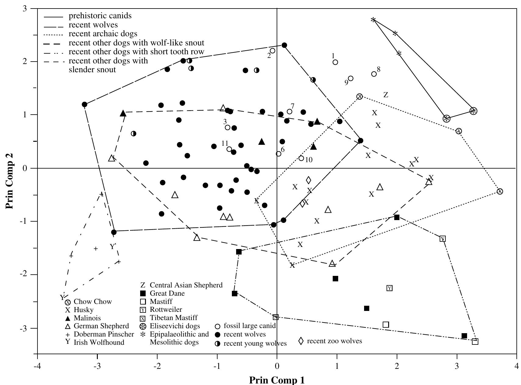 Principal component analysis showing the first two principal