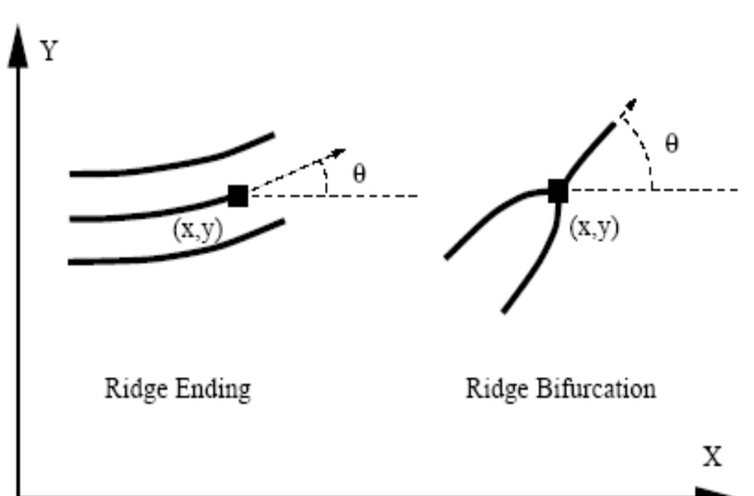 Figure 6 Fingerprint Recognition Using Matlab Graduation