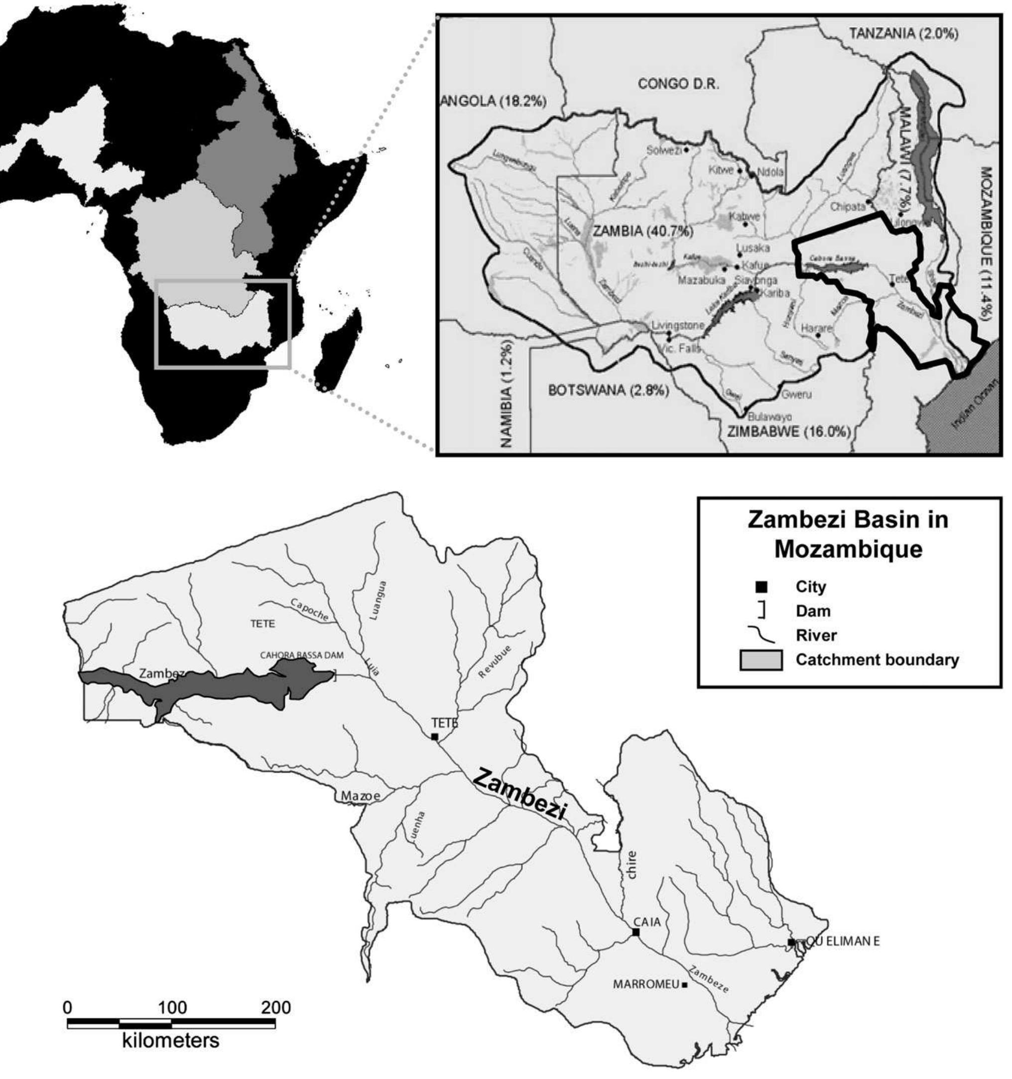 Major river basins in africa (nile, congo, niger, and