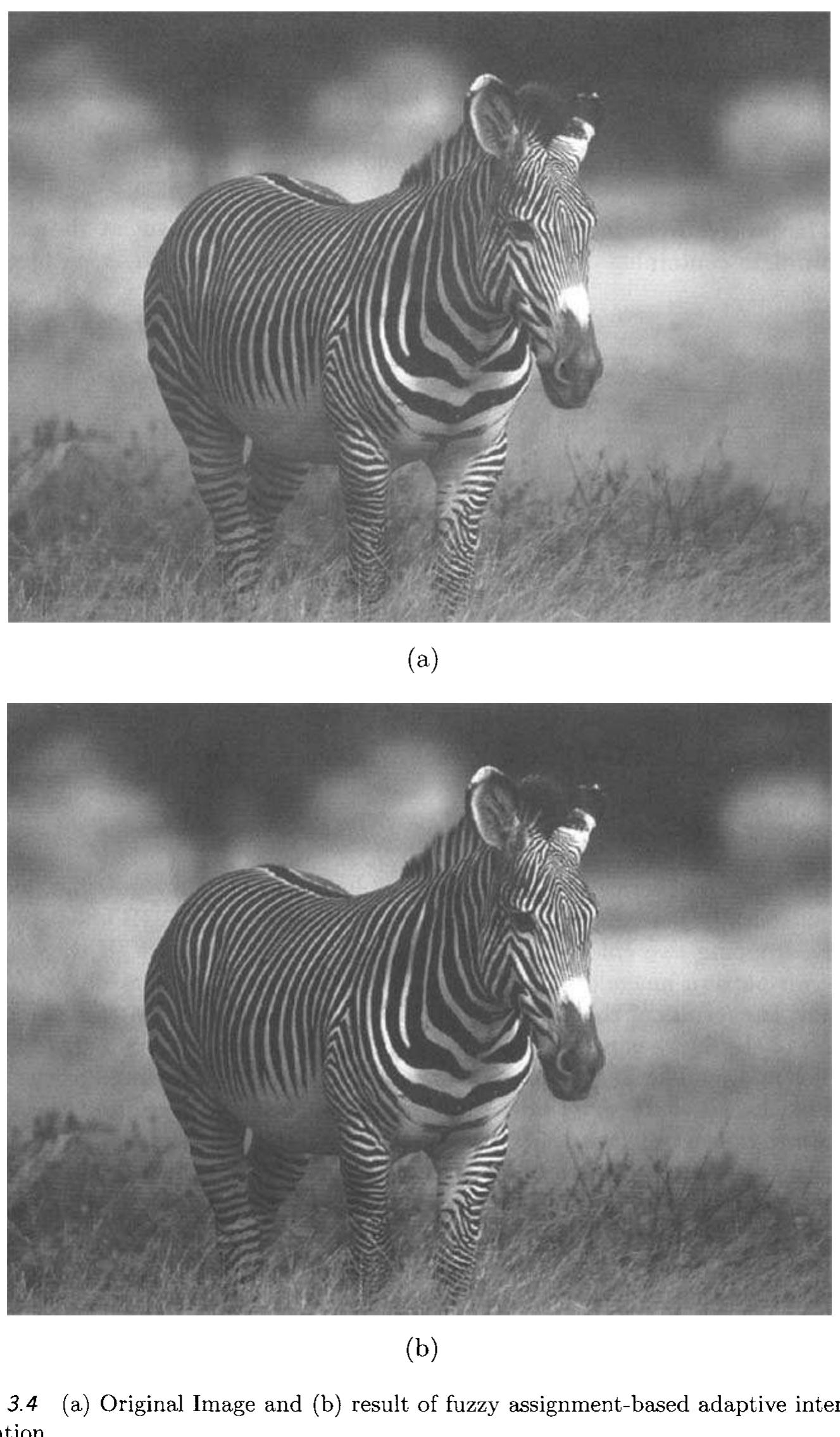 Figure 23 - [Tinku Acharya, Ajoy K. Ray] Image Processing