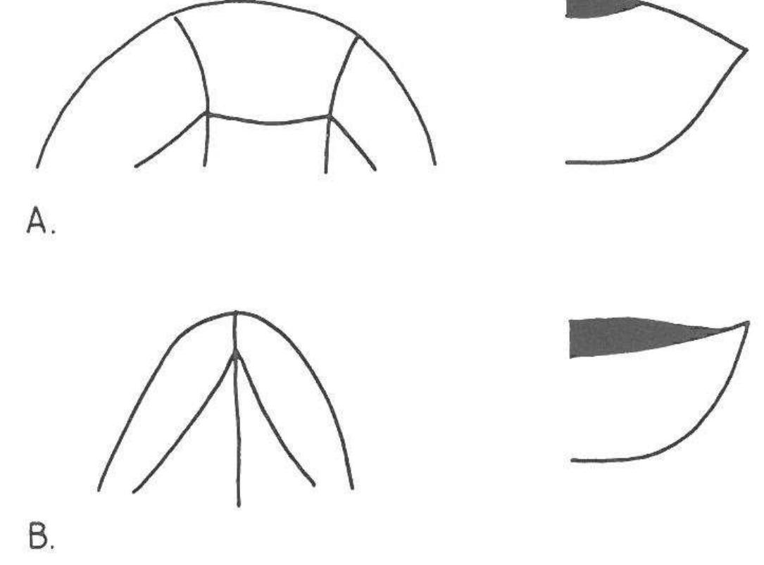 Distal control principles of the classical method for flakes