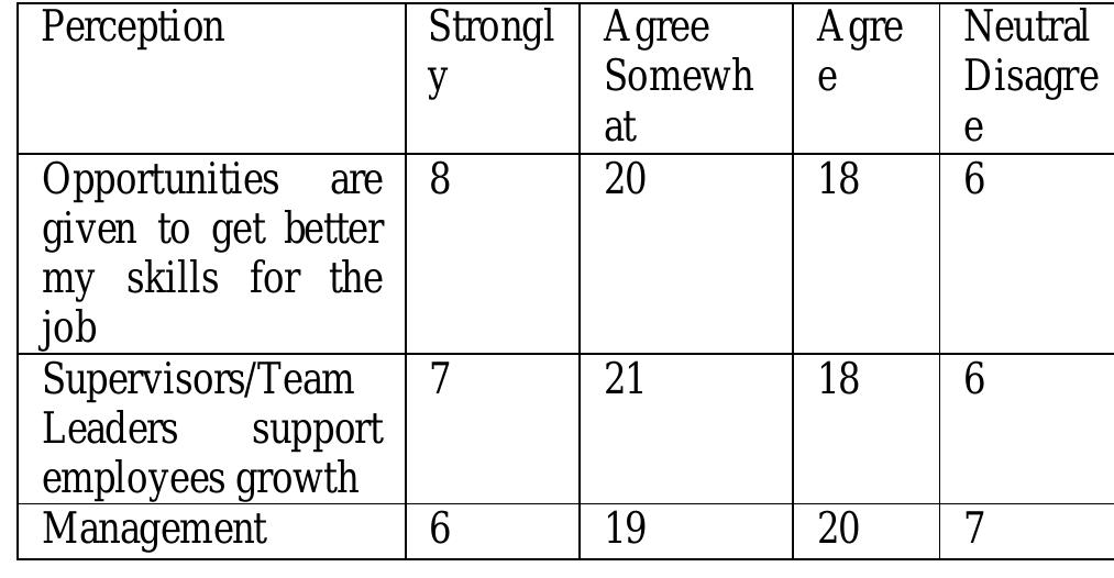 (PDF) Impact of Employee Motivation on Performance (Productivity) In ...