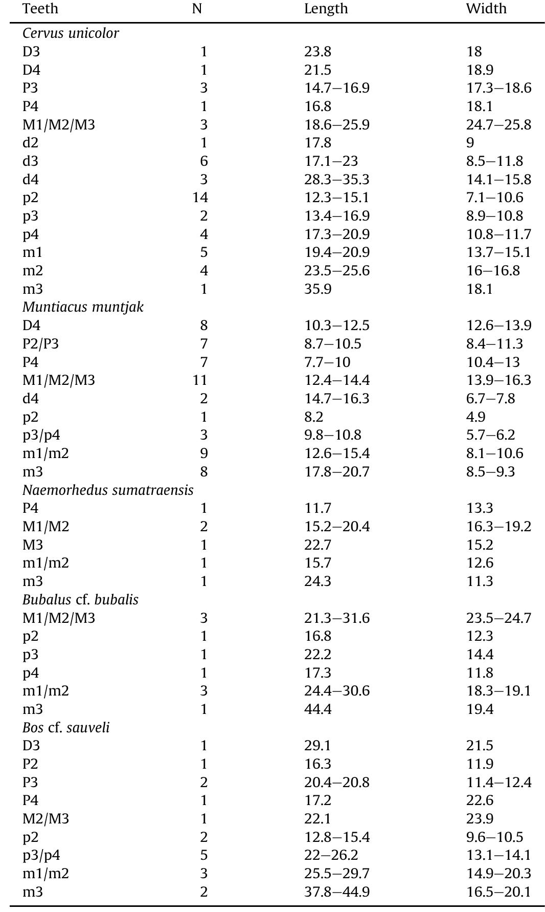 Dimensions of the tam hang south well-preserved teeth