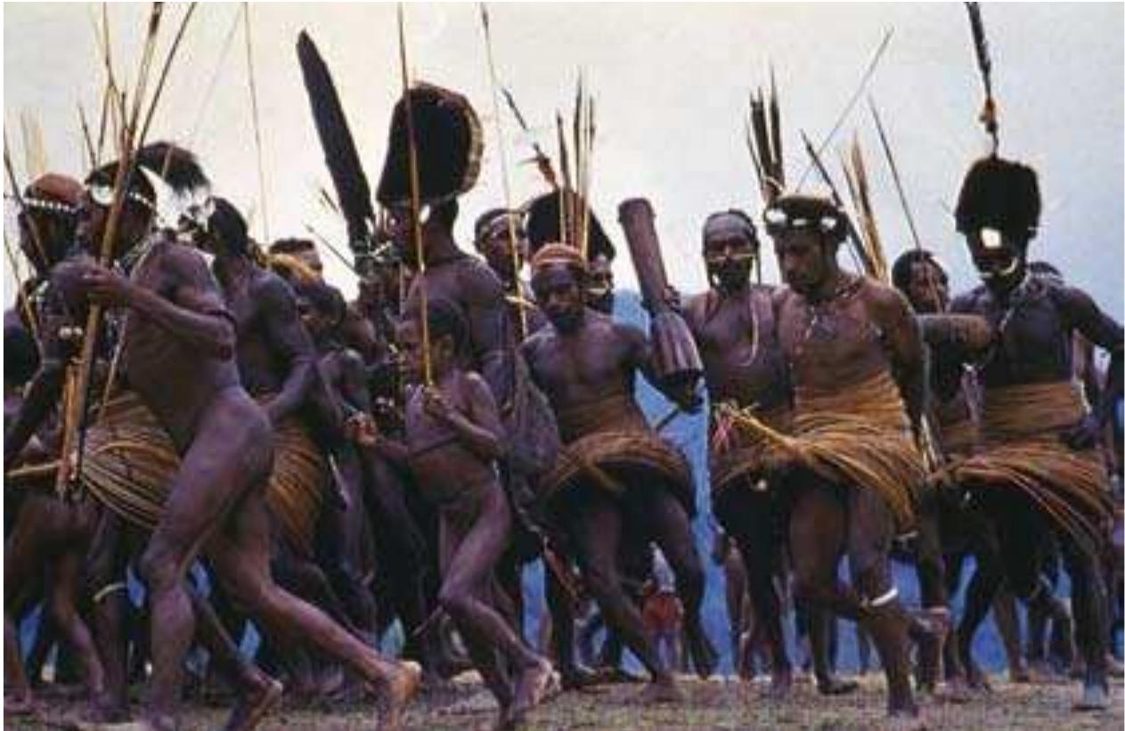 The Cultural Poetics of the Greek Cockfight