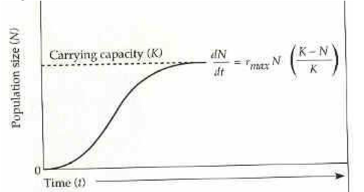 The logistic model of population growth produces a sigmoid