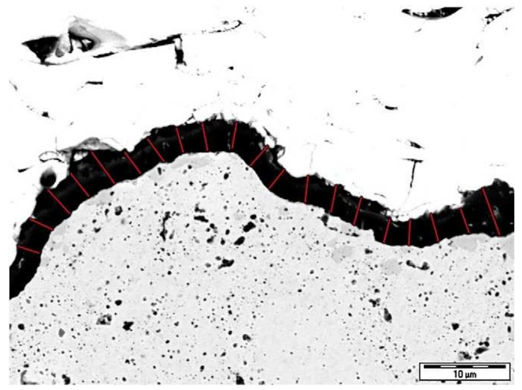 Representative micrograph showing the pathways along which