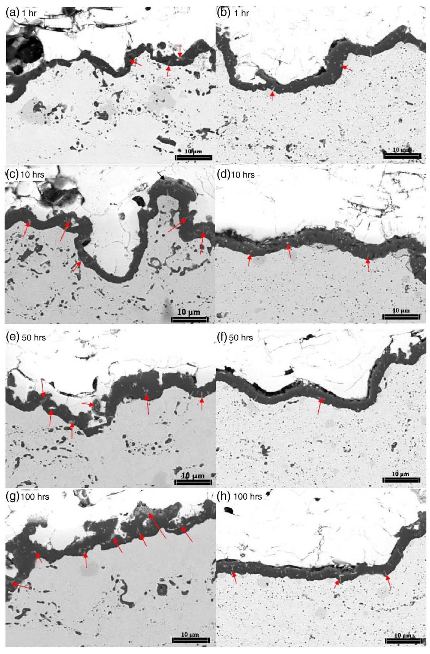 Comparison Of The Cross Section Microstructures Of Tgos In