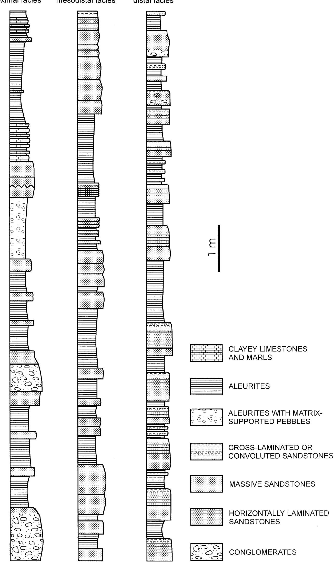 Examples of lithological columns from the proximal,