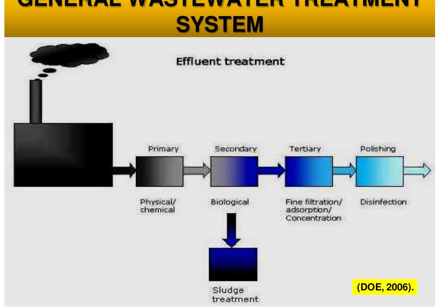 (PDF) Industrial effluent treatment systems (IETS) performance ...