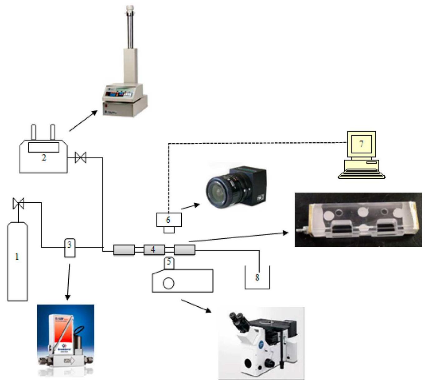 Experimental setup: (1) gas cylinder; (2) syringe pump; (3)