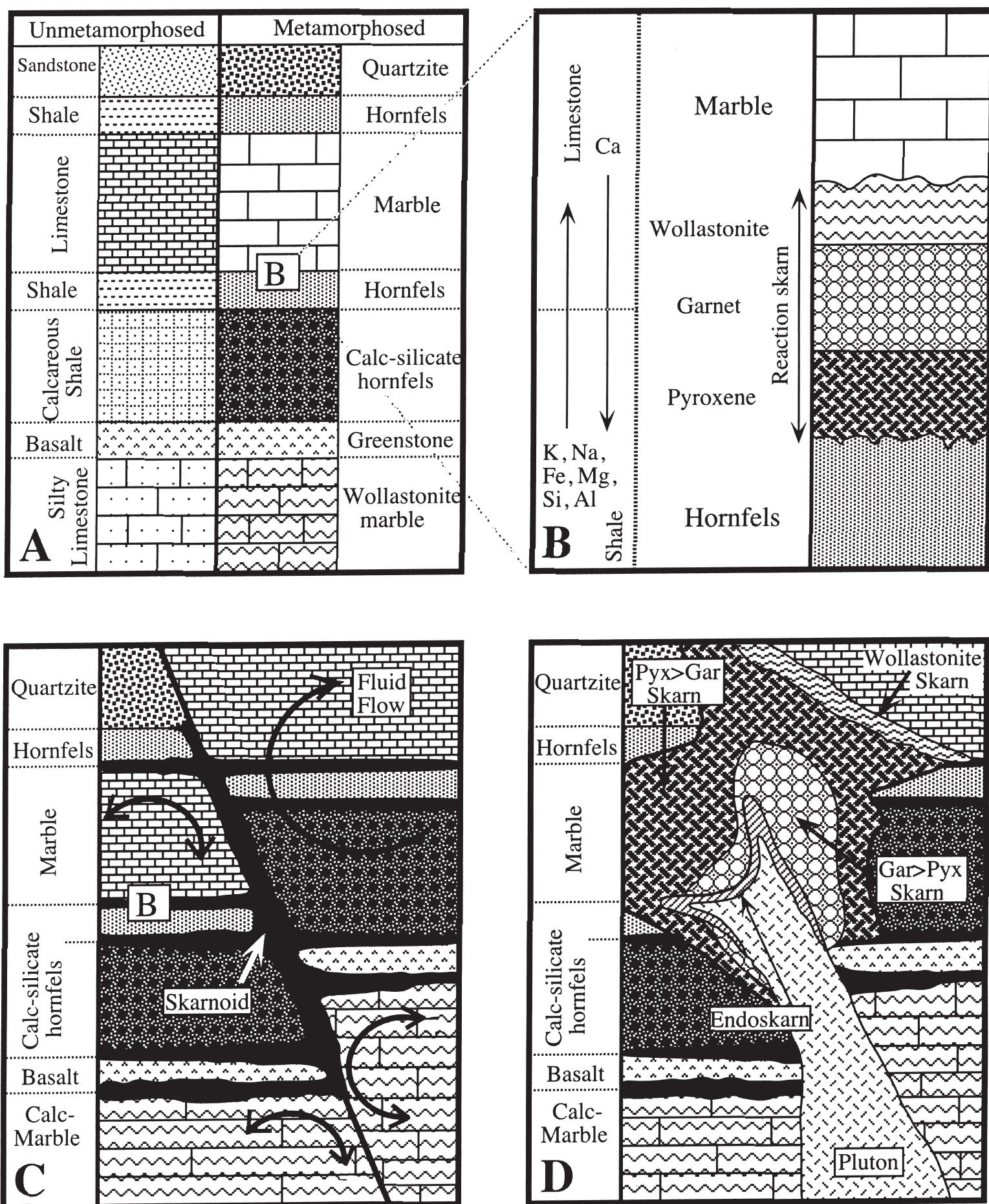 Fic. 2. types of skarn formation (modified from meinert,
