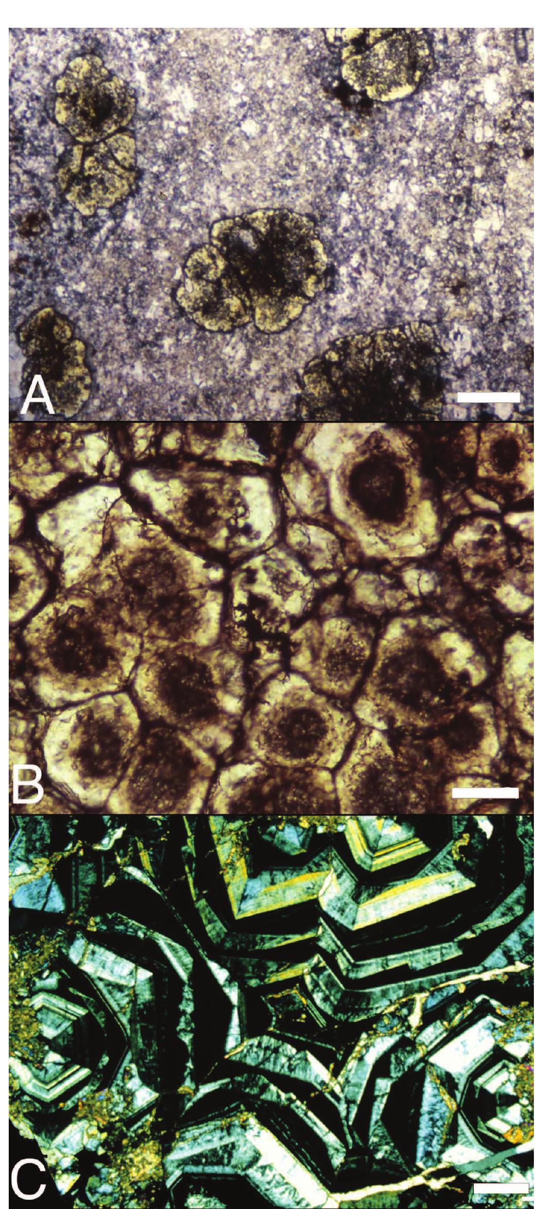 Figure 8 - World Skarn Deposits