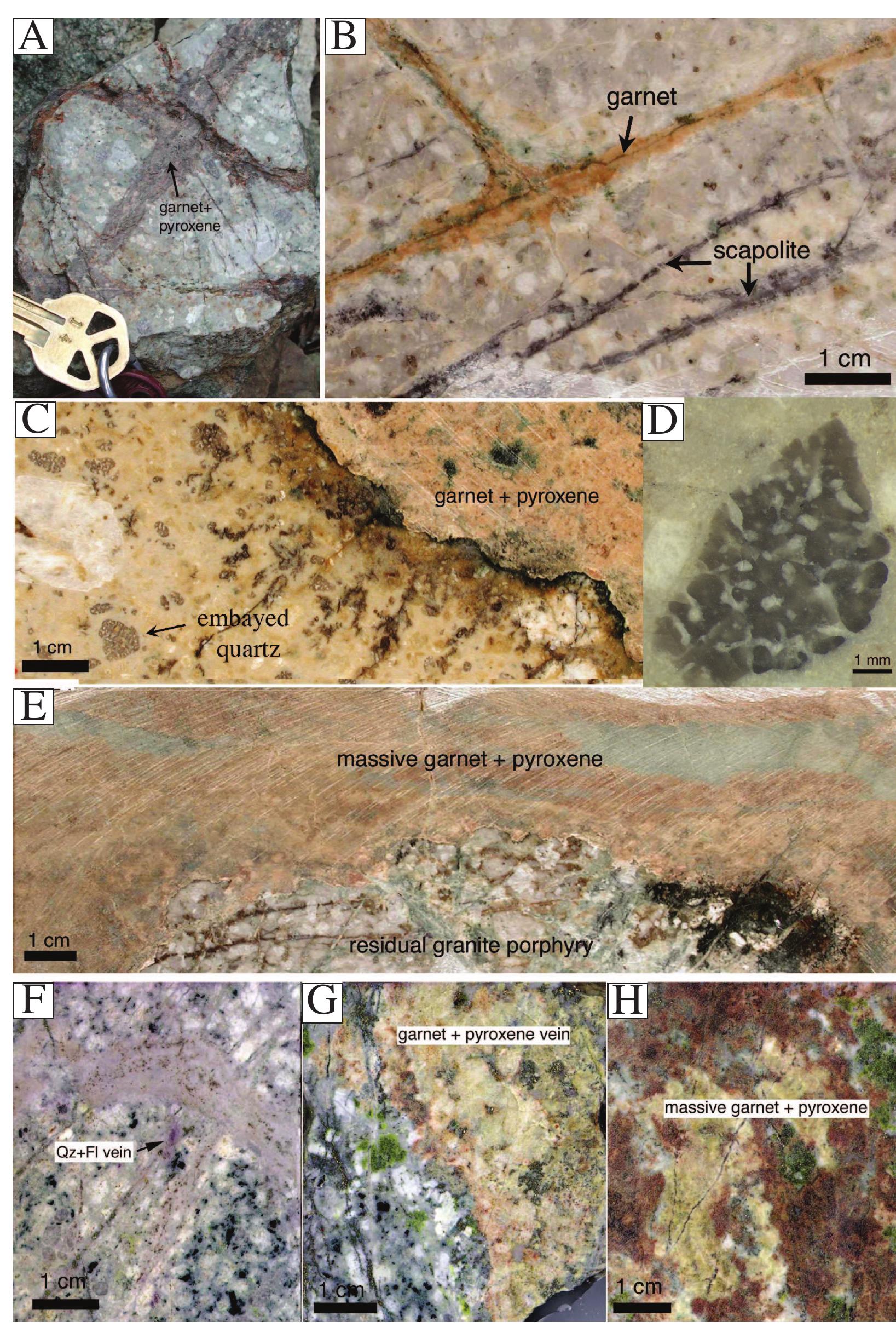 Fic. 18. examples of endoskarn veins and massive endoskarns